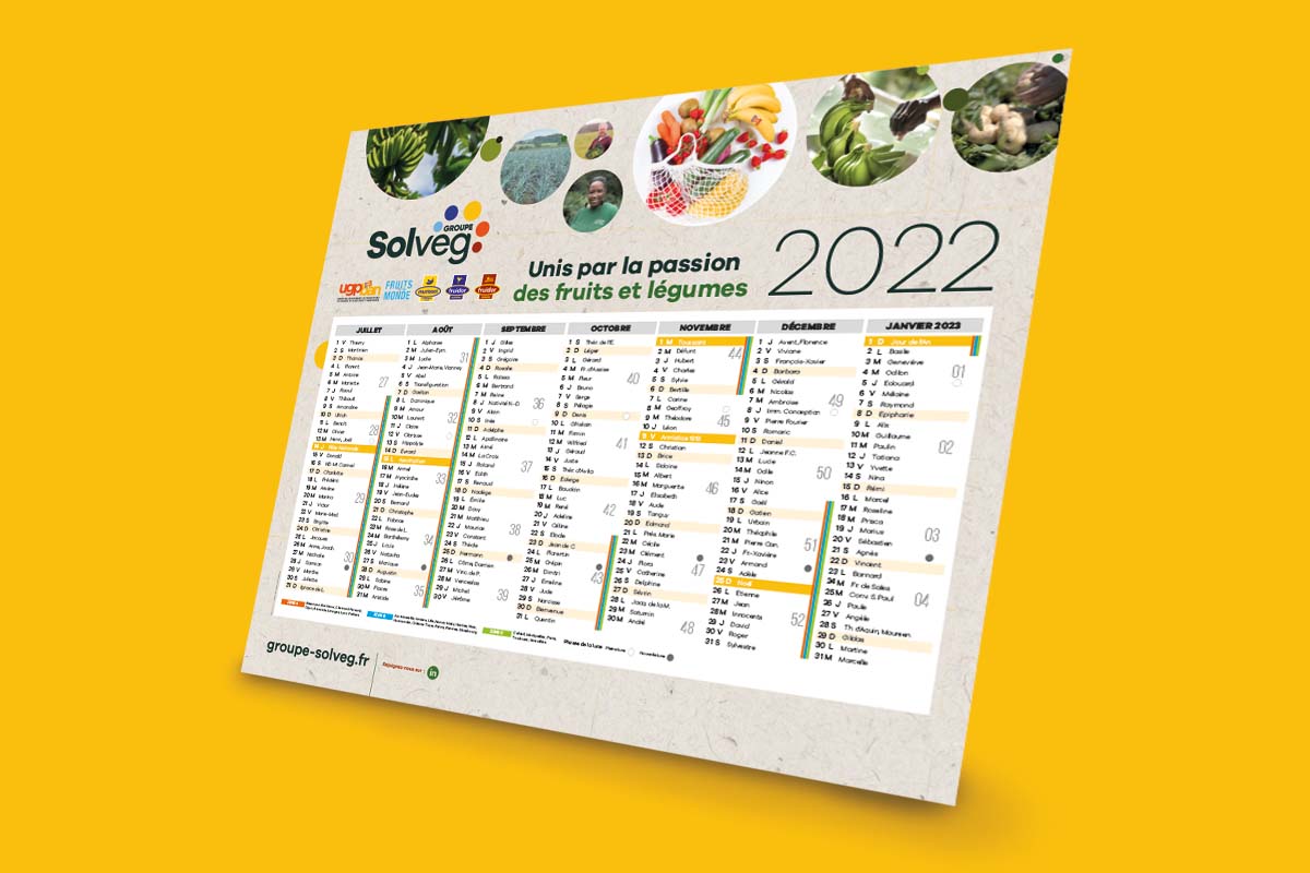 Cas client Solveg par Mediapilote